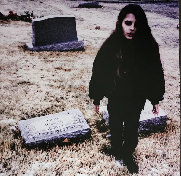 Crystal Castles – Crystal Castles II - LP – купить пластинку по цене от ...