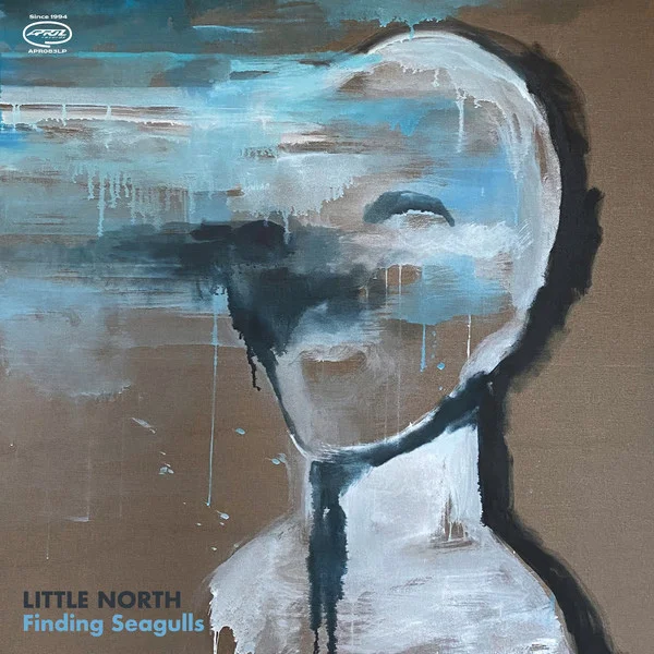 Little North – Finding Seagulls LP – купить пластинку по цене от 3590 руб. в интернет-магазине ...