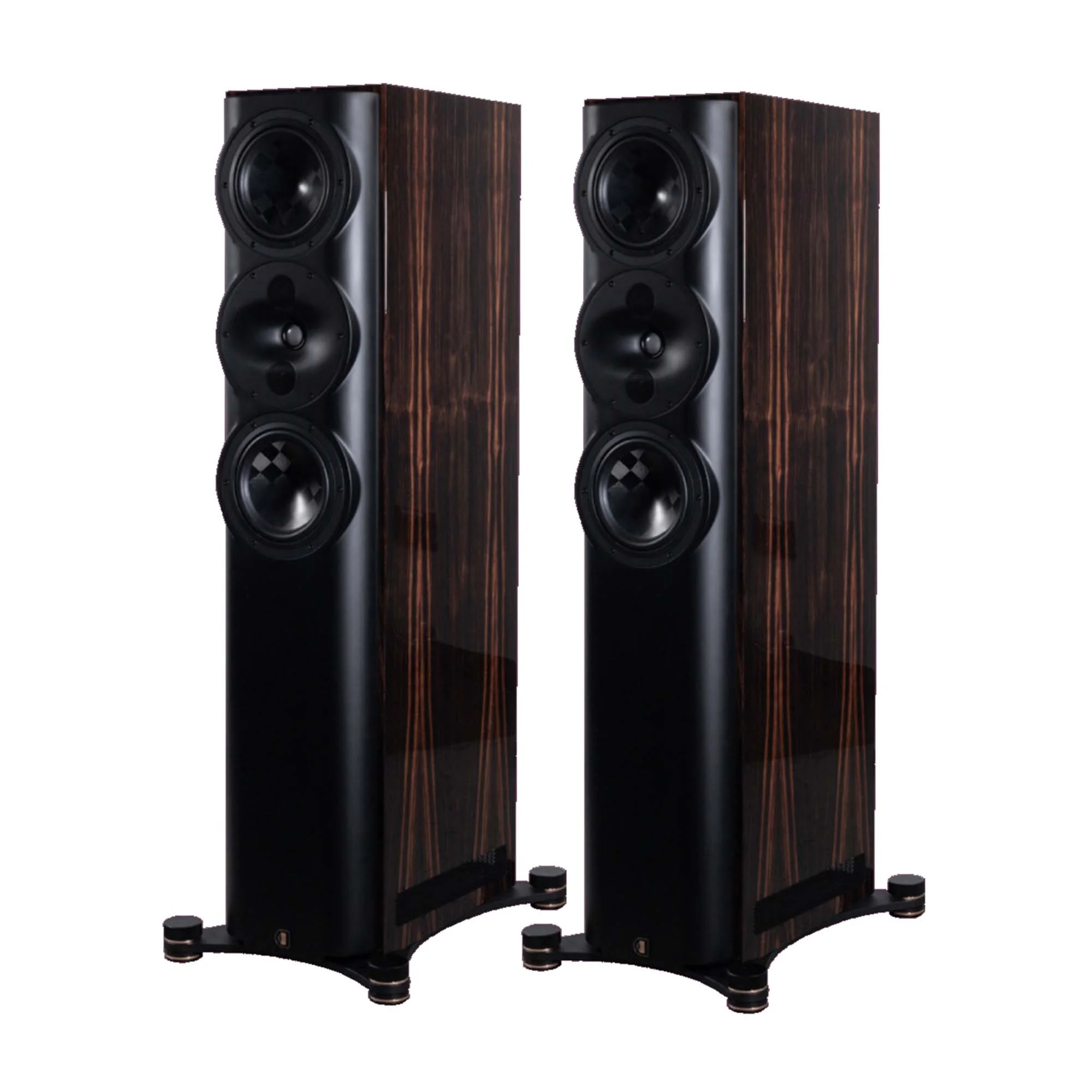 Купить напольную акустику Perlisten Audio S5t Special Edition Ebony ...